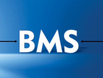 bms-course – BMS | Bachelor of Management Studies Unofficial Portal
