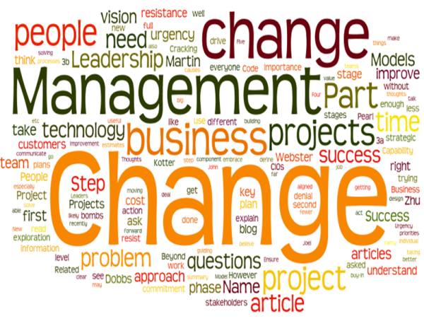 change-management-word-cloud-from-wordle-net – BMS | Bachelor of ...