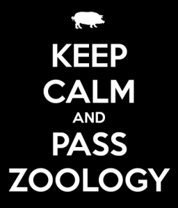 10 Amazing Hilarious ‘Zoology’ Jokes, Trolls, Memes That Will Make You ...