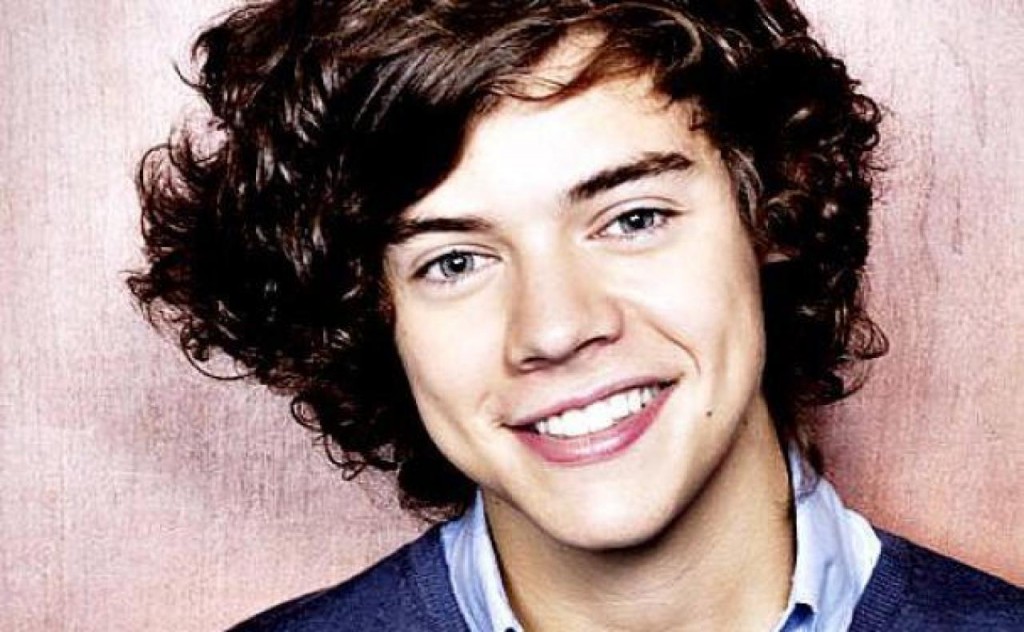 Things You Didn’t Know About The 1D ‘One Direction’ Boys – BMS ...