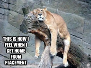 25 Superb ‘BMS Campus Placement’ Jokes, WhatsApp & Facebook Photos ...